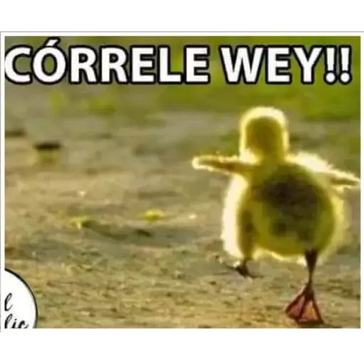 CORRELE WEY! Sticker de WhatsApp - DescargarStickers
