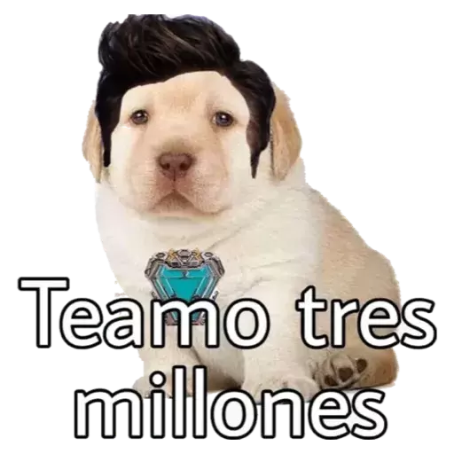 Te amo tres millones PNG transparente - Descargar Stickers