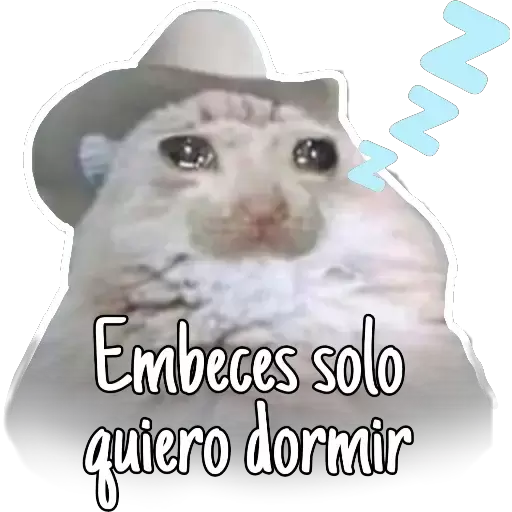 Embeces solo quiero dormir Sticker - DescargarStickers