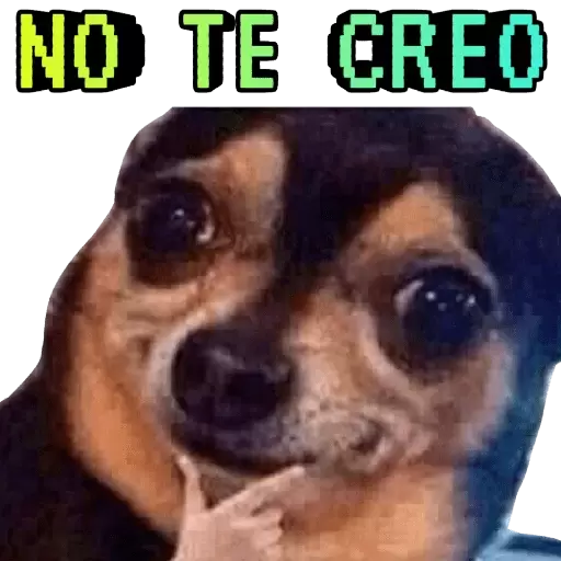 NO TE CREO #228043 Sticker de WhatsApp - DescargarStickers