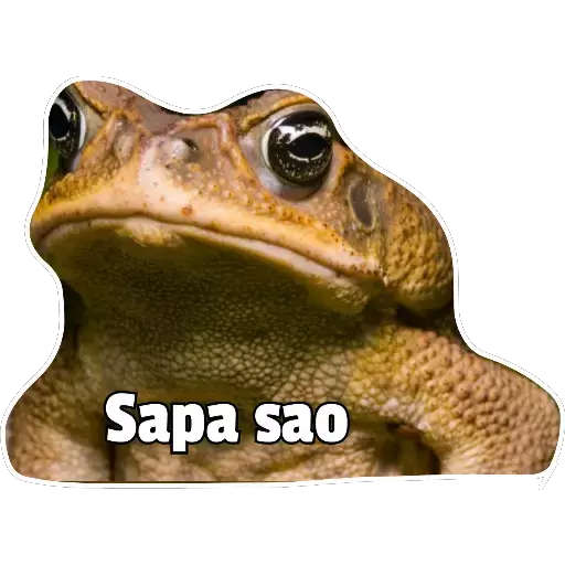 Sapa sao Sticker de WhatsApp - DescargarStickers