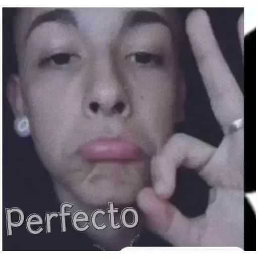 Perfecto #536388 Sticker de WhatsApp - DescargarStickers