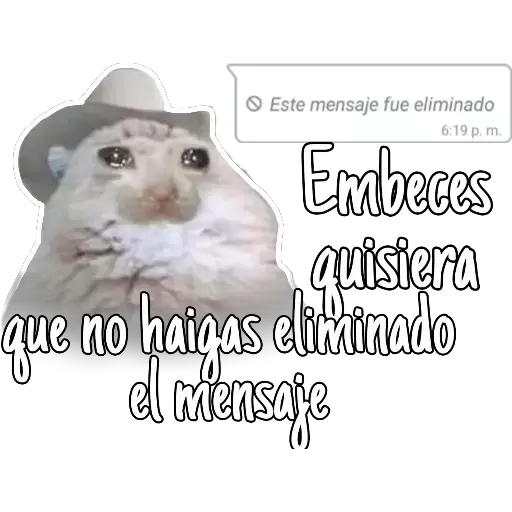 Embeces quisiera que no haigas eliminado le mensaje Sticker de WhatsApp ...