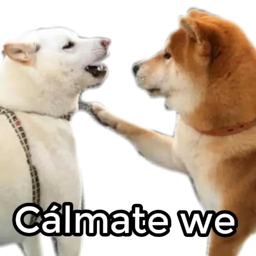 Sticker Cálmate we PNG - DescargarStickers