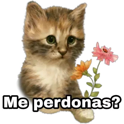 Me perdonas? #637088 Sticker de WhatsApp - DescargarStickers