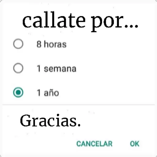 Cállate por... 8 horas, 1 semana, 1 año. Gracia. Sticker de WhatsApp ...