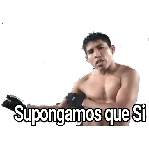 Supongamos que si Sticker de WhatsApp - DescargarStickers