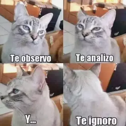 Te analizo, te observo y te ignoro Sticker de WhatsApp - DescargarStickers