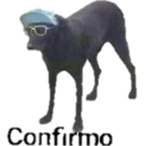 Sticker Confirmo #831816 PNG - DescargarStickers