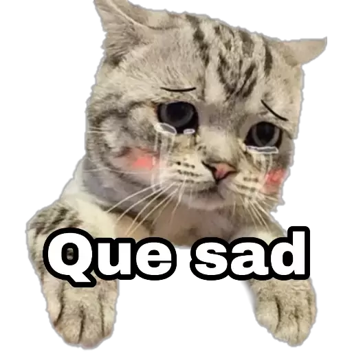 Que sad Sticker de WhatsApp - DescargarStickers