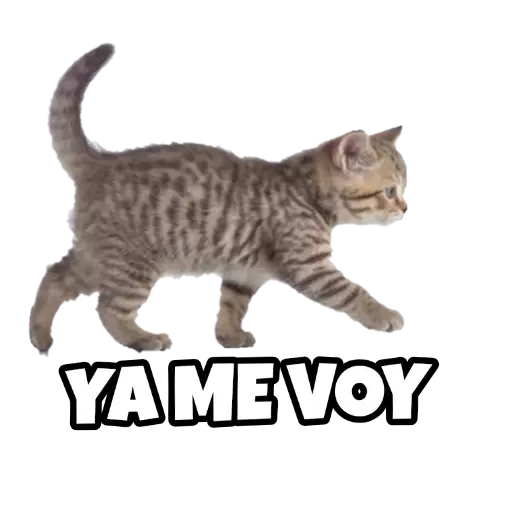 Ya me voy #880940 Sticker de WhatsApp - DescargarStickers