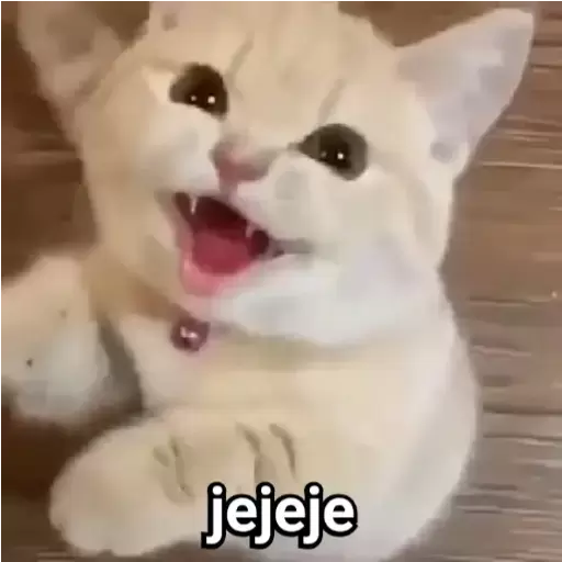 Jejeje #911926 Sticker de WhatsApp - DescargarStickers