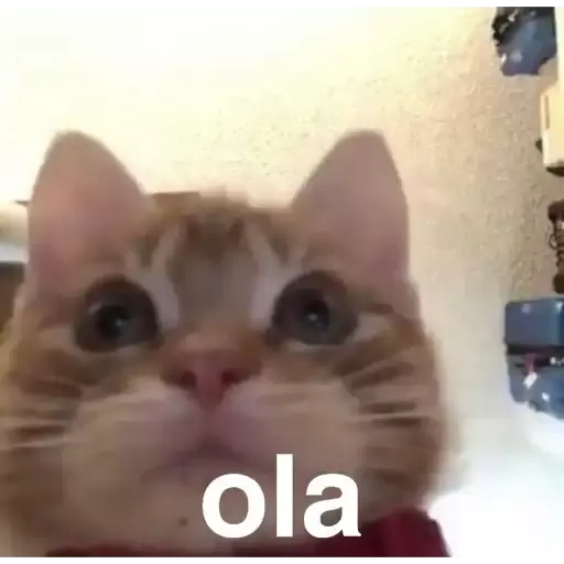 Hola #922800 Sticker de WhatsApp - DescargarStickers