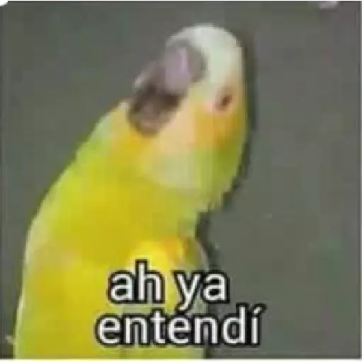 Ah ya entendí Sticker de WhatsApp - DescargarStickers