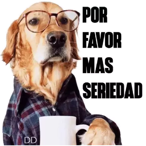 POR FAVOR MAS SERIEDAD Sticker de WhatsApp - DescargarStickers