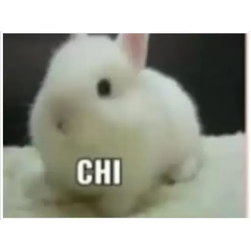 CHI #036629 Sticker de WhatsApp - DescargarStickers