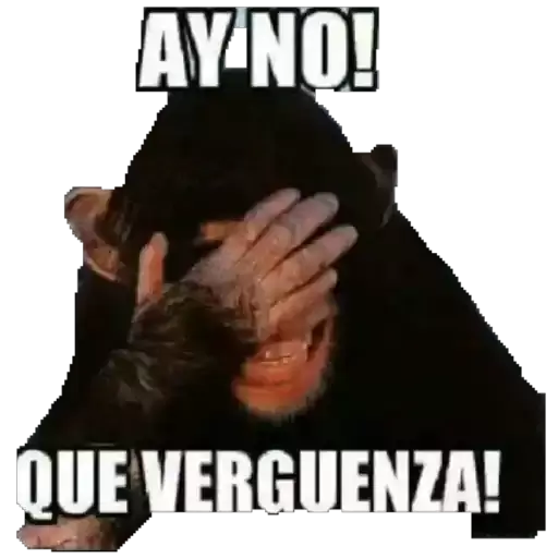 ¡Ay no! ¡que vergüenza! Sticker de WhatsApp - DescargarStickers