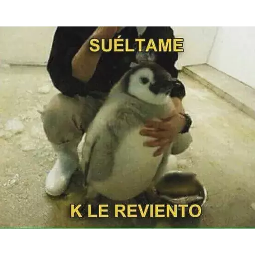 SUELTAME K LE REVIENTO Sticker de WhatsApp - DescargarStickers