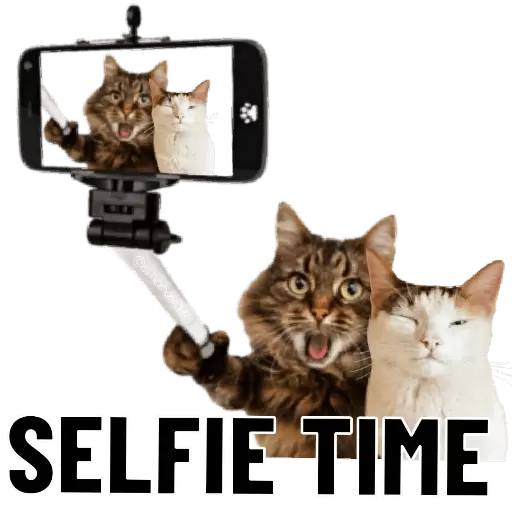 SELFIE TIME Sticker de WhatsApp - DescargarStickers