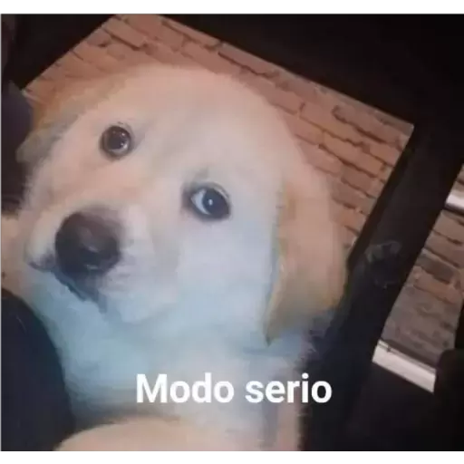 Sticker Modo serio #028989 PNG - DescargarStickers