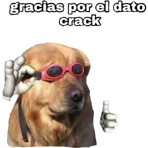 Gracias por el dato crack Sticker de WhatsApp - DescargarStickers
