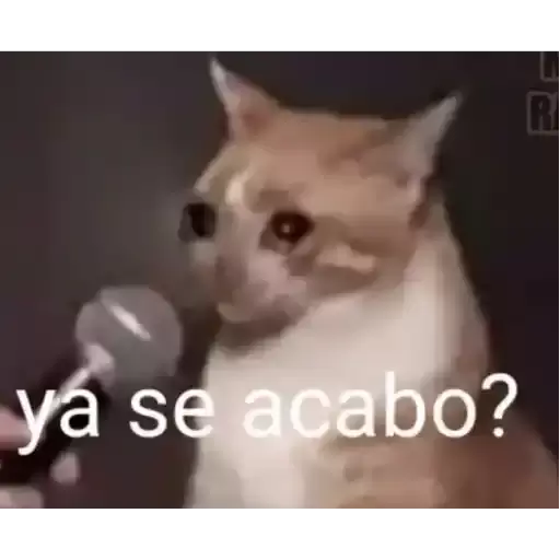 Sticker Ya se acabo? PNG - DescargarStickers