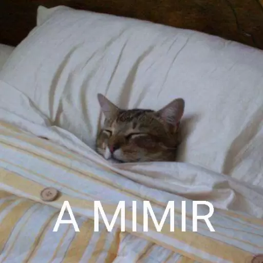 Sticker A MIMIR #236896 PNG - DescargarStickers