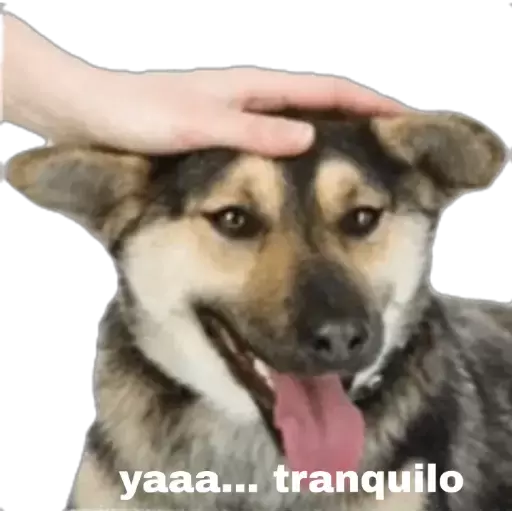 Yaaa... tranquilo #286025 Sticker de WhatsApp - DescargarStickers