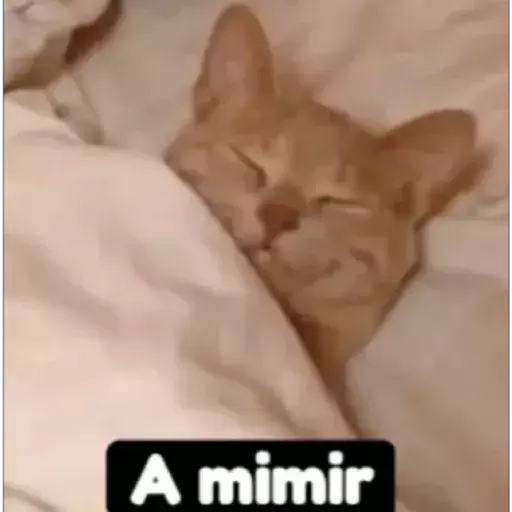 Sticker A mimir #288435 PNG - DescargarStickers