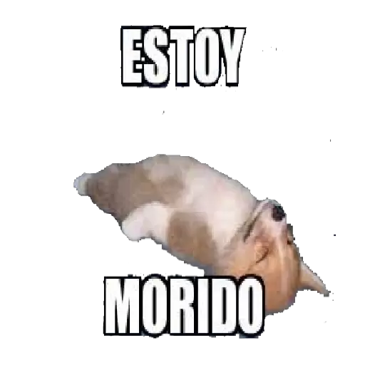 Estoy morido Sticker de WhatsApp - DescargarStickers