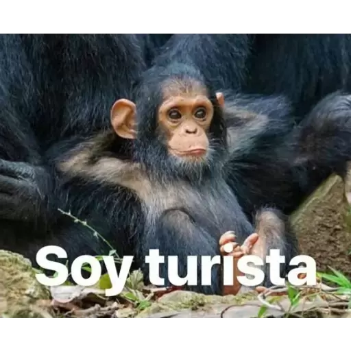 Soy turista Sticker de WhatsApp - DescargarStickers