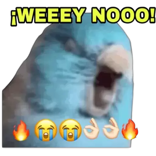 ¡WEEEY NOOO! Sticker de WhatsApp - DescargarStickers