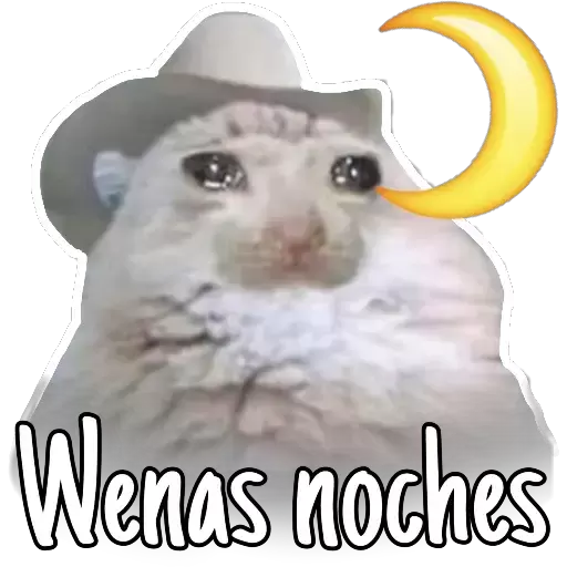Wenas noches Sticker de WhatsApp - DescargarStickers