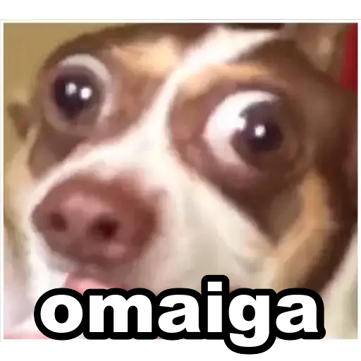 omaiga #2162124 Sticker de WhatsApp - DescargarStickers