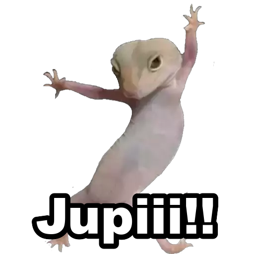 Jupiii!! Sticker de WhatsApp - DescargarStickers