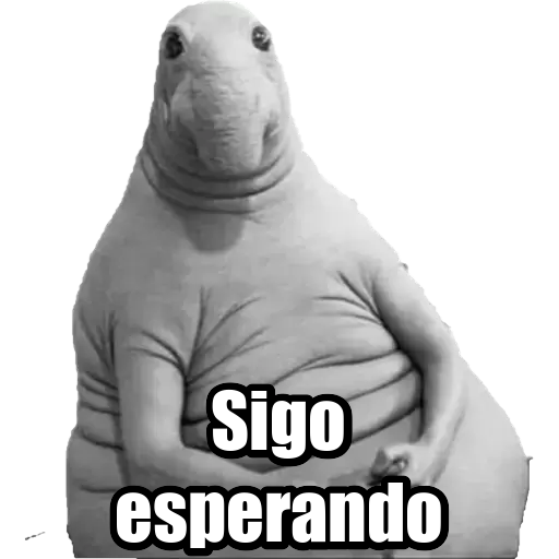 Sigo esperando #4641173 Sticker de WhatsApp - DescargarStickers