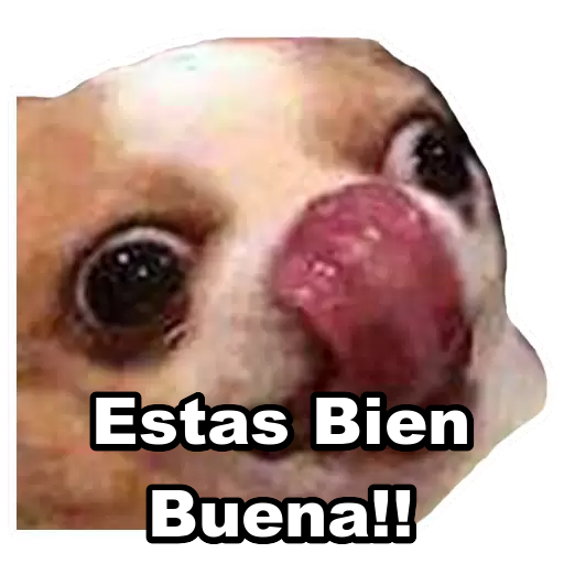 Sticker Estas Bien Buena!! PNG - DescargarStickers