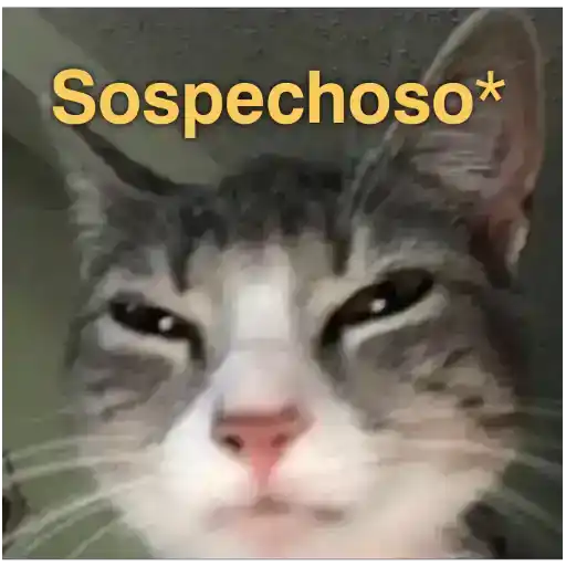 Sospechoso* #6549231 Sticker de WhatsApp - DescargarStickers