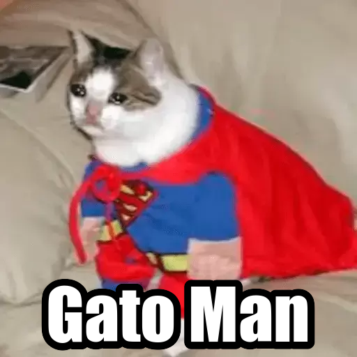 Gato Man Sticker de WhatsApp - DescargarStickers