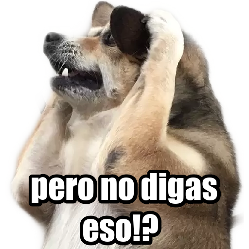 pero no digas eso! Sticker de WhatsApp - DescargarStickers