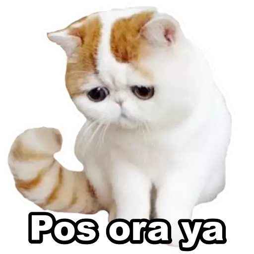 Pos ora ya Sticker de WhatsApp - DescargarStickers