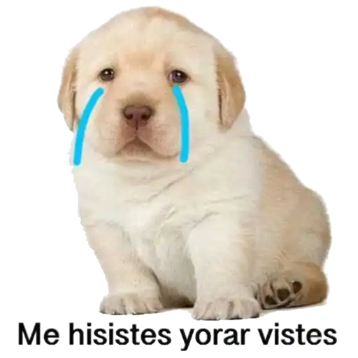 Me hiciste llorar viste Sticker de WhatsApp - DescargarStickers
