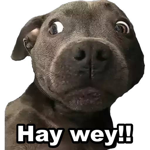 Hay wey!! Sticker de WhatsApp - DescargarStickers