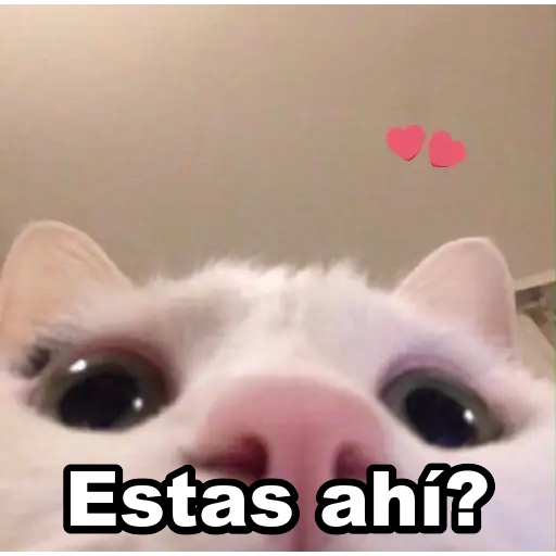 Estas ahí? Sticker de WhatsApp - DescargarStickers
