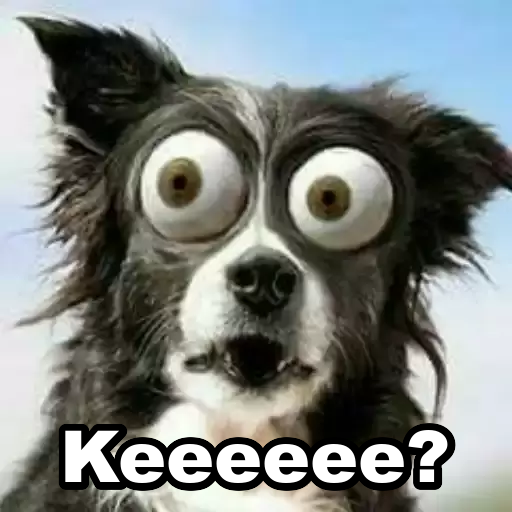 Keeeeee? #1532798 Sticker de WhatsApp - DescargarStickers