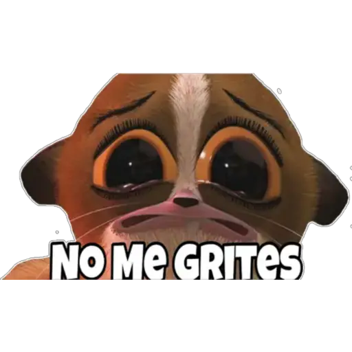 Sticker NO ME GRITES PNG - DescargarStickers