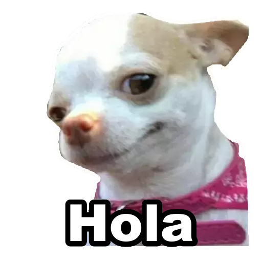 Hola #3434743 Sticker de WhatsApp - DescargarStickers