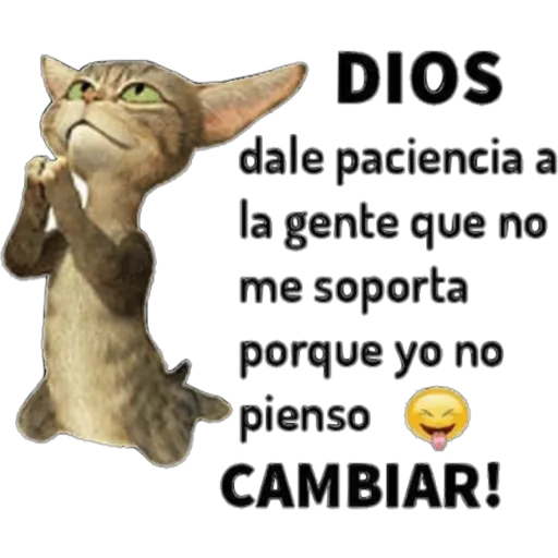 DIOS dale paciencia a la gente que no me soporta, porque yo no pienso ...