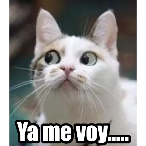 Ya me voy..... #3887790 Sticker de WhatsApp - DescargarStickers