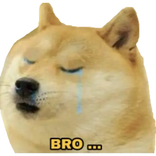 BRO... Sticker de WhatsApp - DescargarStickers